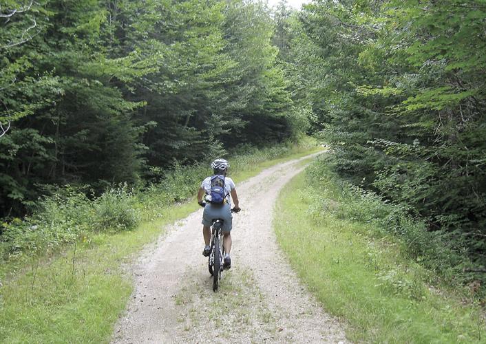Wheel Family Fun: Bear Notch boogey foliage ride | Family Biking ...