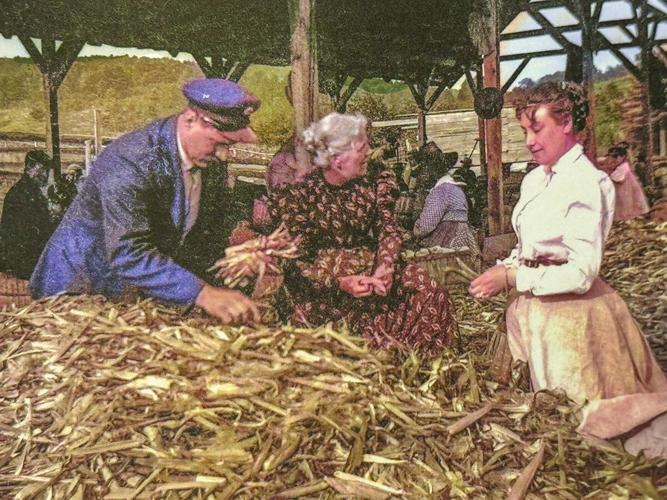 Lend an ear to corny tale of canny natives | Local News ...