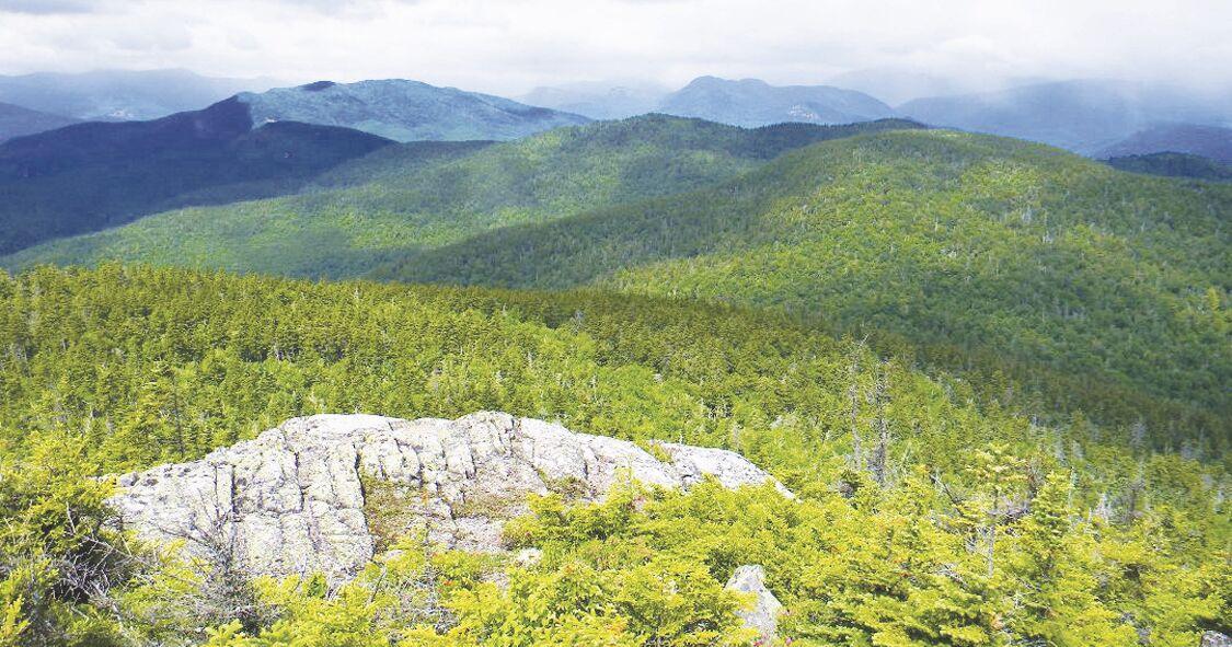 Moat Mountain: A source of countless stories | Hiking News ...