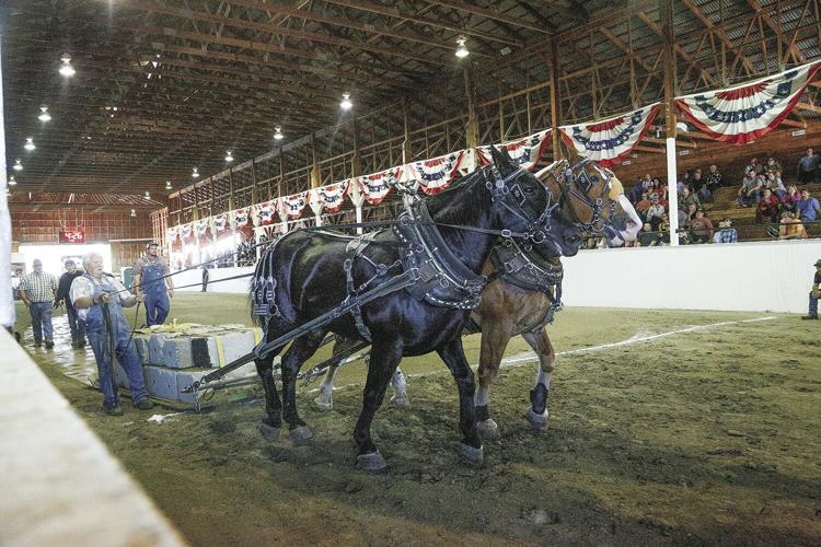 174th Fryeburg Fair, Maine's Blue Ribbon classic, Sept. 29-Oct. 6 | Local News | conwaydailysun.com