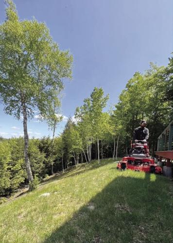 Business Spotlight: Two Pines Property Services | Local Business News ...