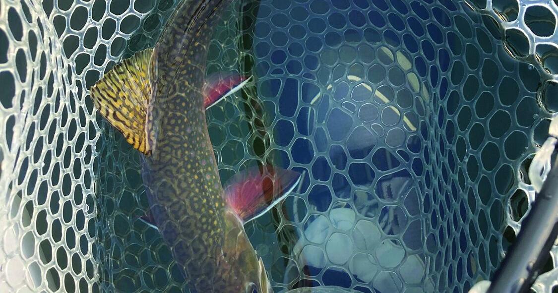 North Country Angling: Troutman and the Old Timer head upta camp ...