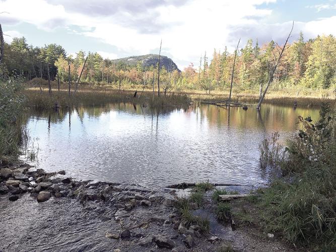 Wheel Family Fun: A mixed bag of trails, gravel and road riding on the ...