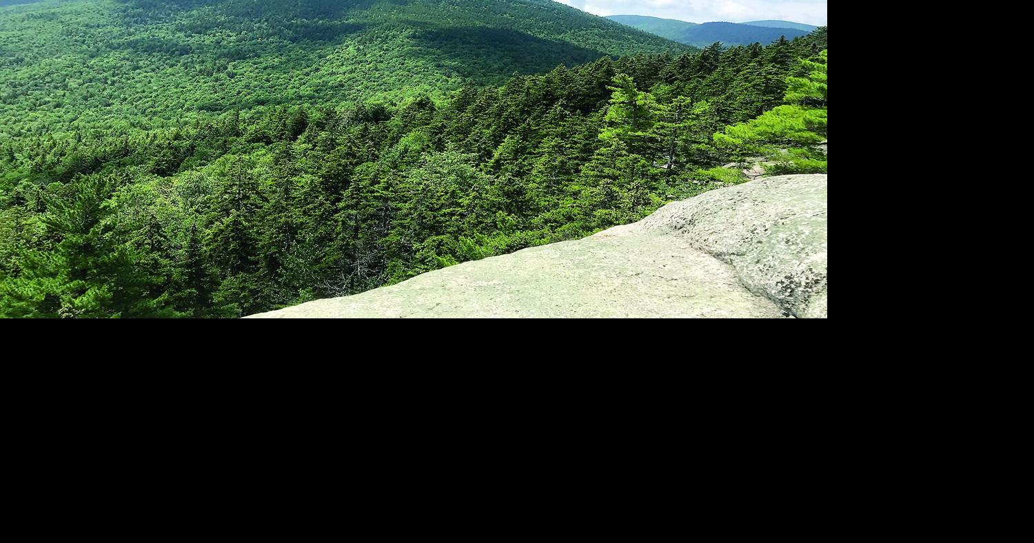 Hiking: UNH Trail on Mount Hedgehog | Our Favorite Hikes ...