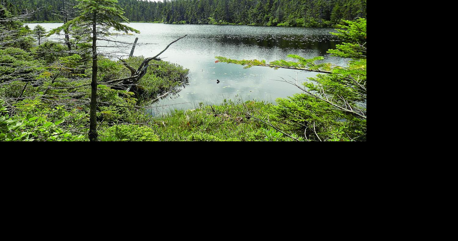 Hiking: Returning to the Nancy Pond Trail | Our Favorite Hikes ...