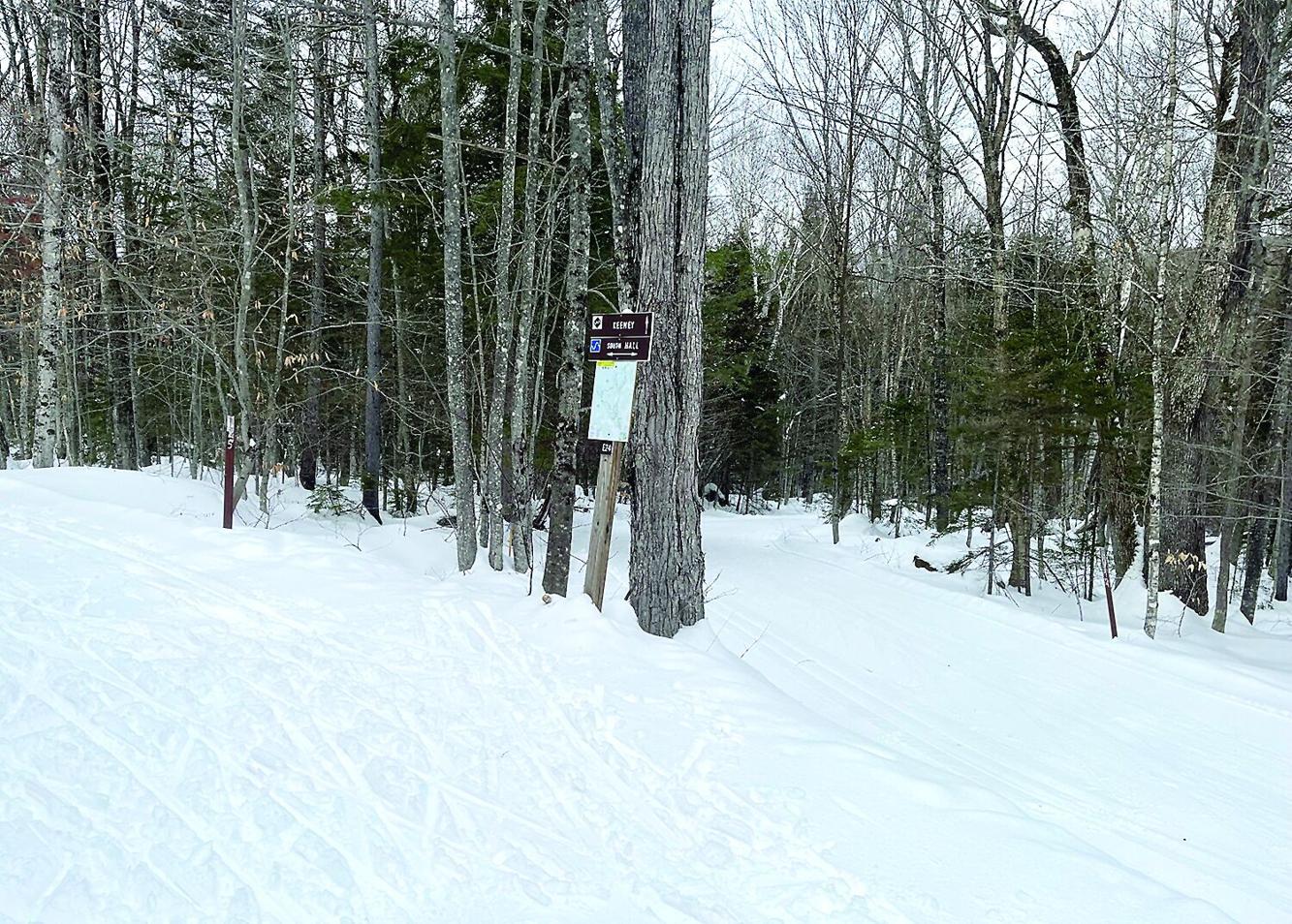 Nordic Tracks - A Nordic Ski - Kenney Trail junction | | conwaydailysun.com