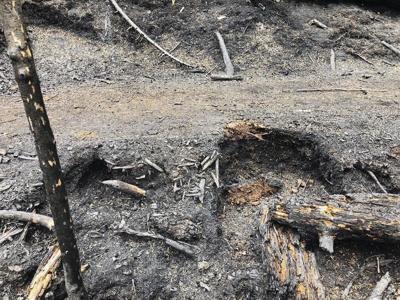 State: Bemis Fire 100% contained as of Friday night | Local News ...