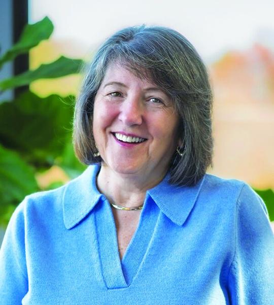 Former Nashua mayor appointed director of rural health program | Local ...