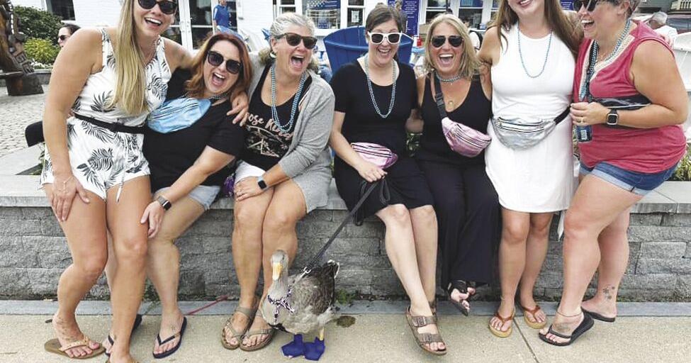 Gabby the goose melting hearts across the valley | Local News ...