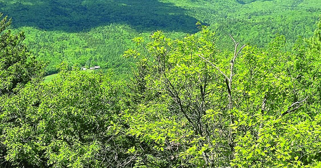Hiking: Some small mountains have class | Our Favorite Hikes ...
