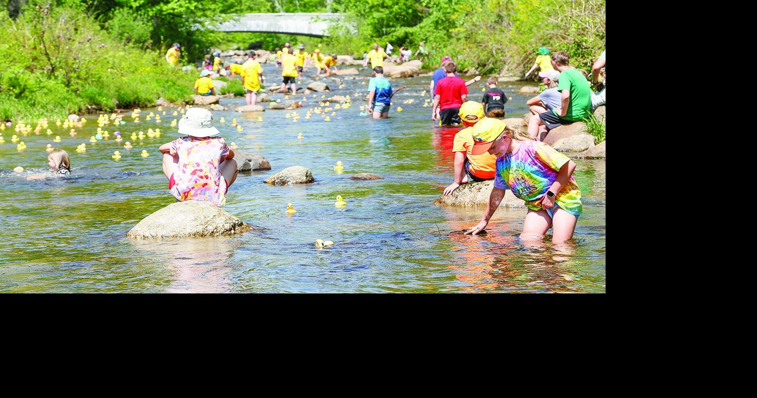 35th Wildquack Duck Race and Music Fest May 25 | Local Business News ...