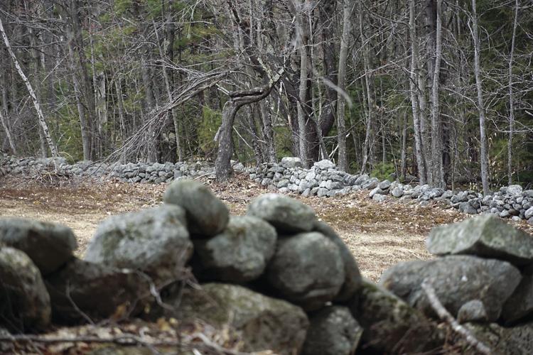 Mapping NH's stone walls: High-tech link to past | Local News ...