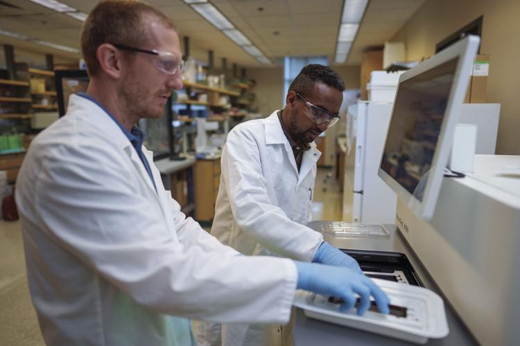 Research project to develop tick surveillance system | Local News ...