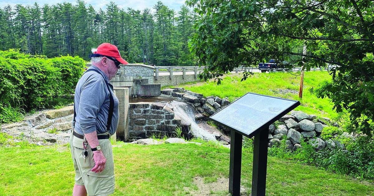 New interpretive signs on the Walker Pond Conservation Site | Local ...