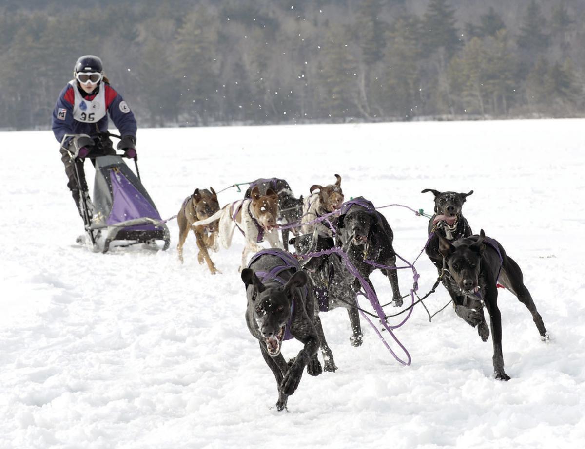 Chocorua Lake goes to the dogs today, Sunday | Local News ...