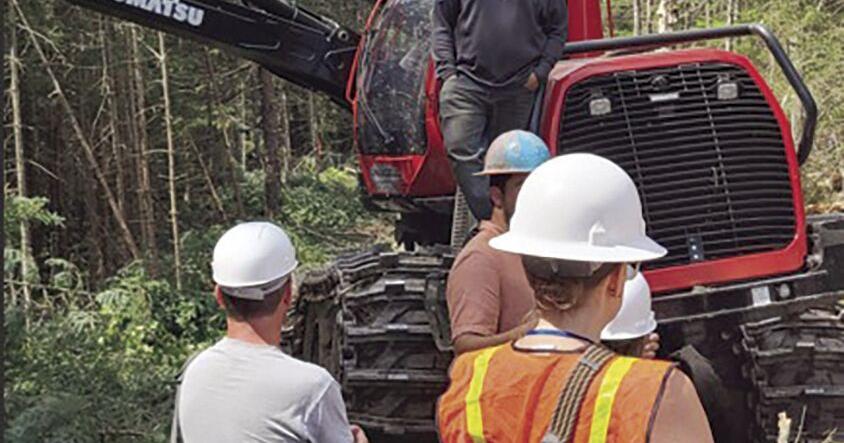 Loss of timber tax revenue may mean higher taxes, cutting services ...