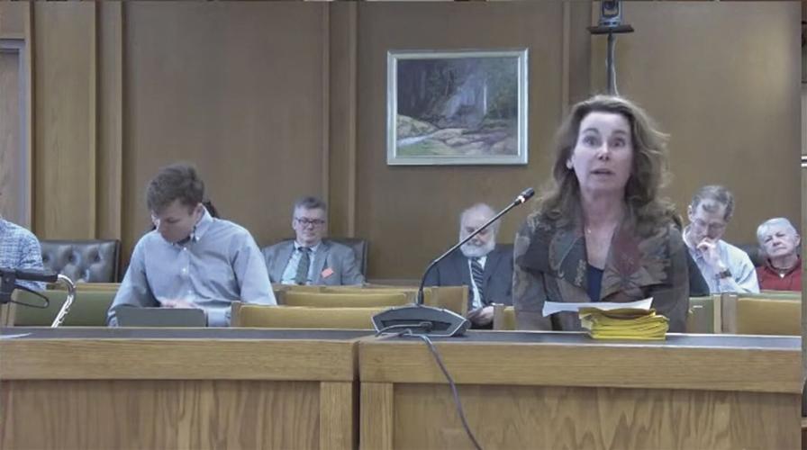 MWV locals go to Concord, speak on STR bill | Local News ...