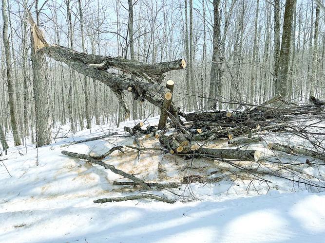 Nordic Tracks: Old trails with new twists at Jackson Ski Touring Center ...