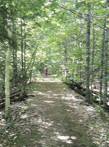 Wheel Family Fun: A mixed bag of trails, gravel and road riding on the ...