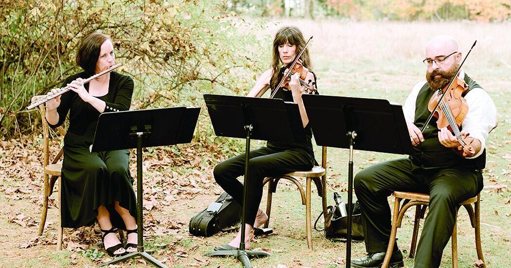 Irish music, Alice and Ferdinand at Denmark Arts | Arts Events ...