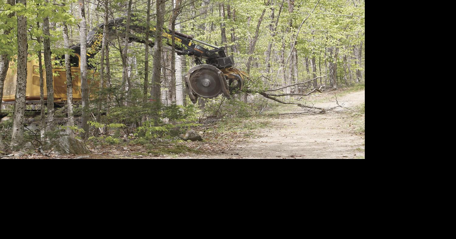 Logging operation begins in Whitaker Woods | Local News ...