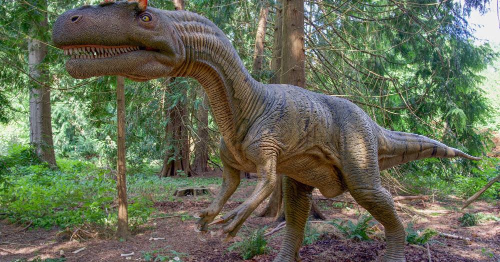 Dinosaurs return to Holderness science center | Local News ...