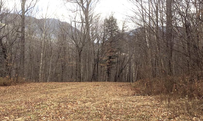 Wheel Family Fun: It’s November — weather drives the activity! | Family ...