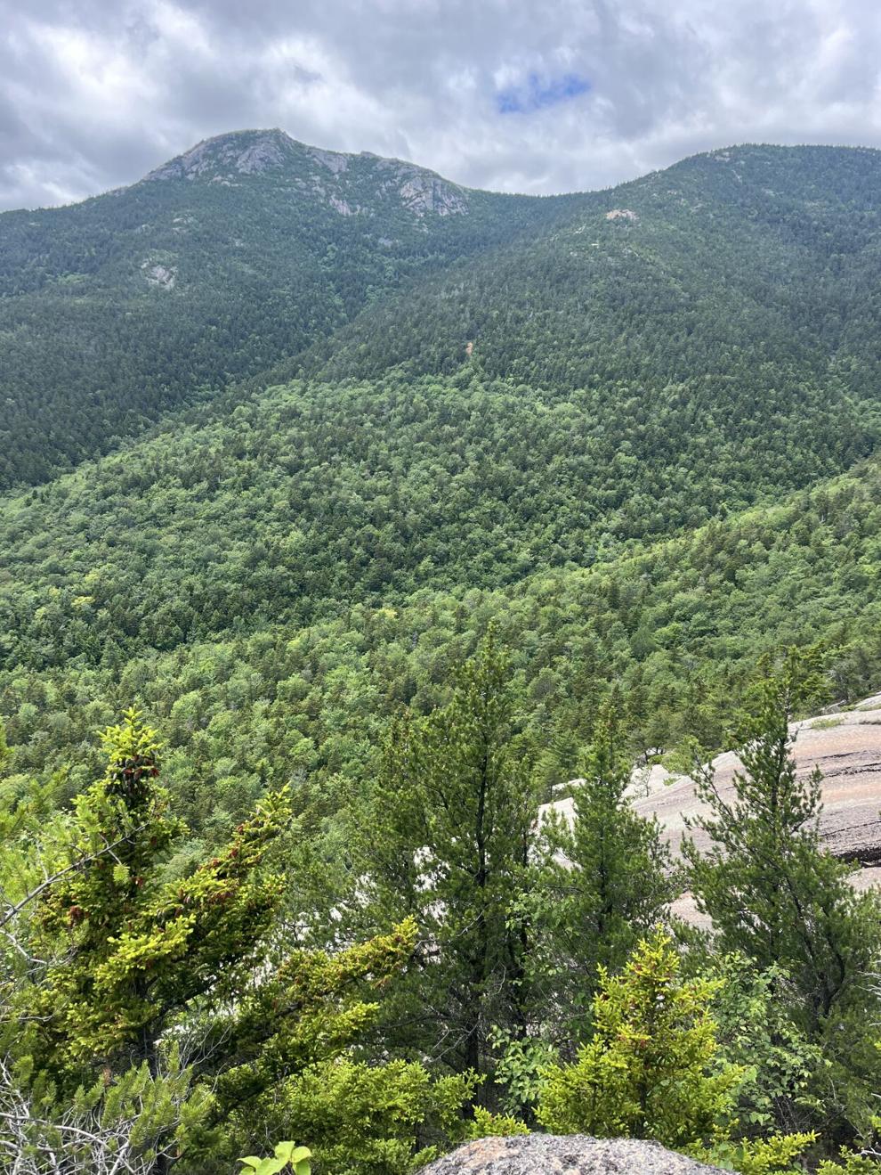 Hiking: Carter Ledge | Our Favorite Hikes | conwaydailysun.com