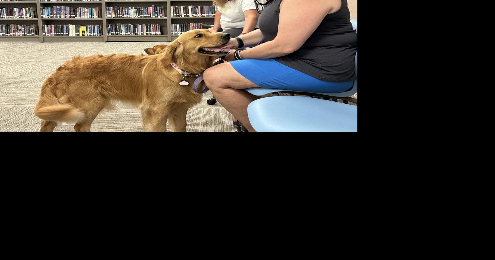 School board approves first reading to allow therapy animals in schools ...