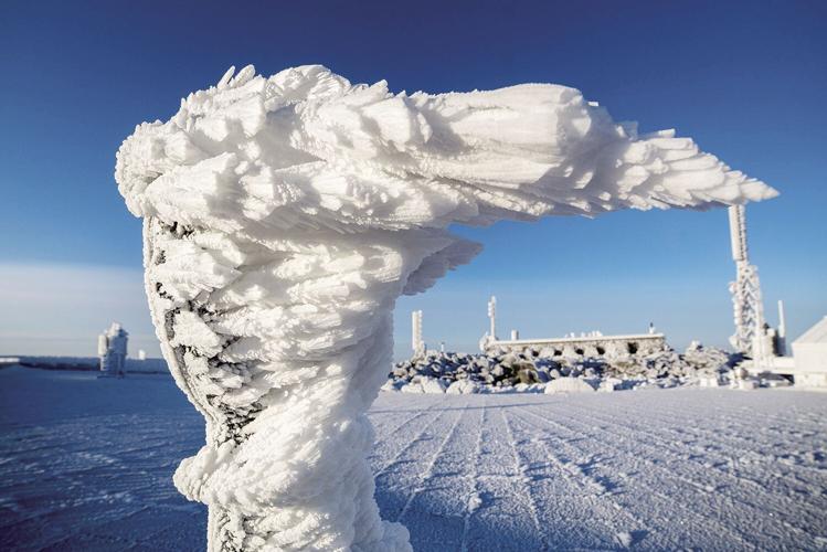 Obs at 90: New director, new collaborations | Local News ...