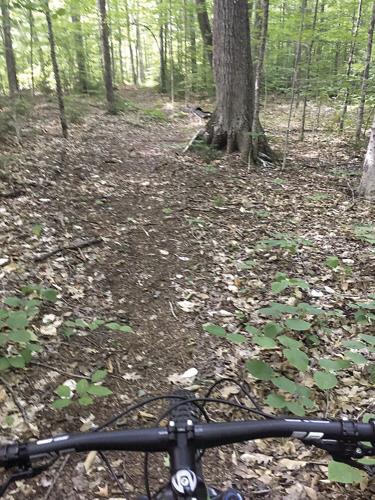 Wheel Family Fun: Cycling the Nanamocomuck Ski Trail — follow the blue ...
