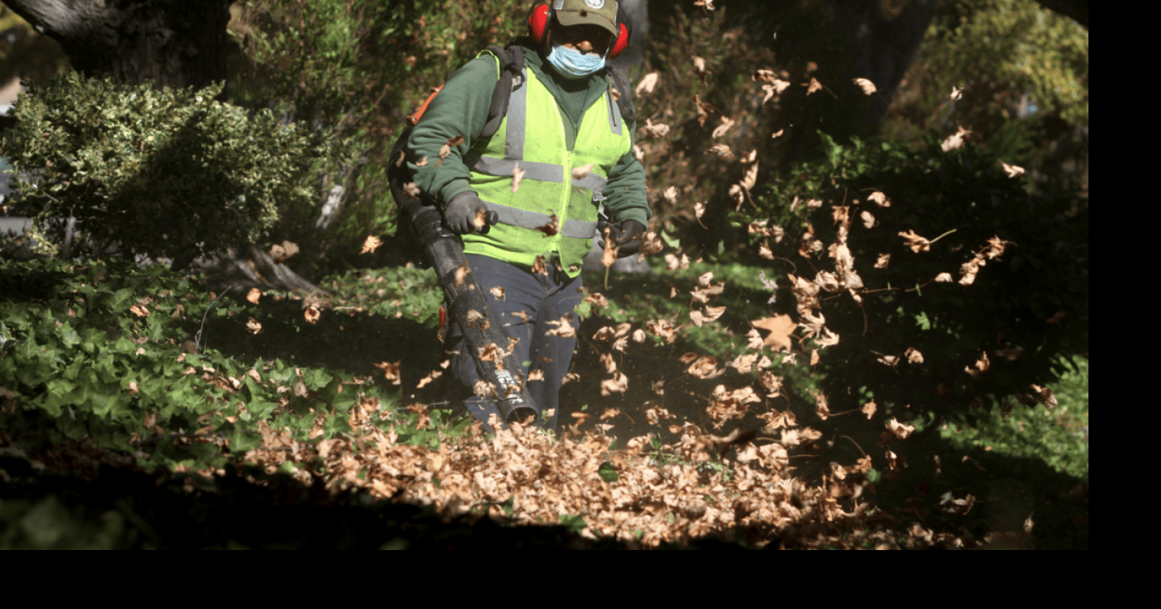Everyone hates gas-powered leaf blowers. So why is it so hard to ban ...