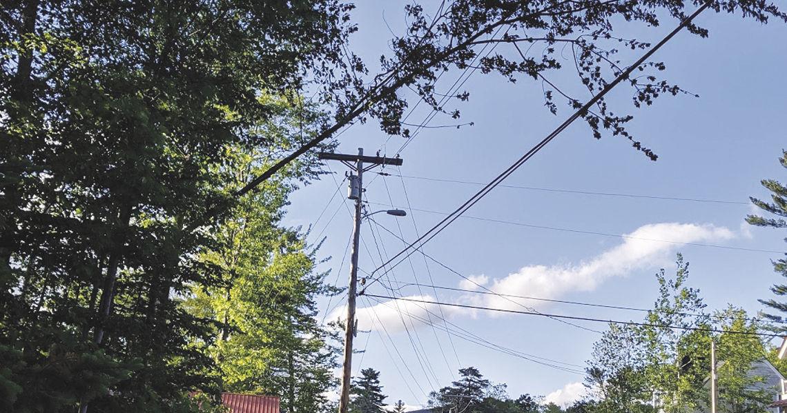 High winds topple trees, cut power Tuesday | Local News ...