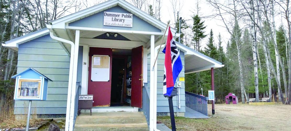 Dummer-Milan Public Library receives grant | Community | conwaydailysun.com