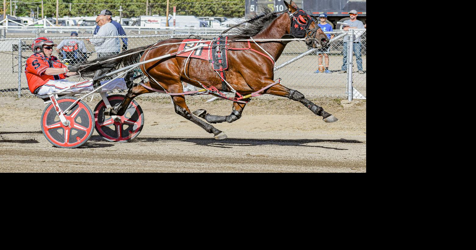 A beginner's guide to betting on horses at the fair | Local News ...