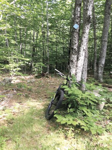 Wheel Family Fun: Cycling the Nanamocomuck Ski Trail — follow the blue ...