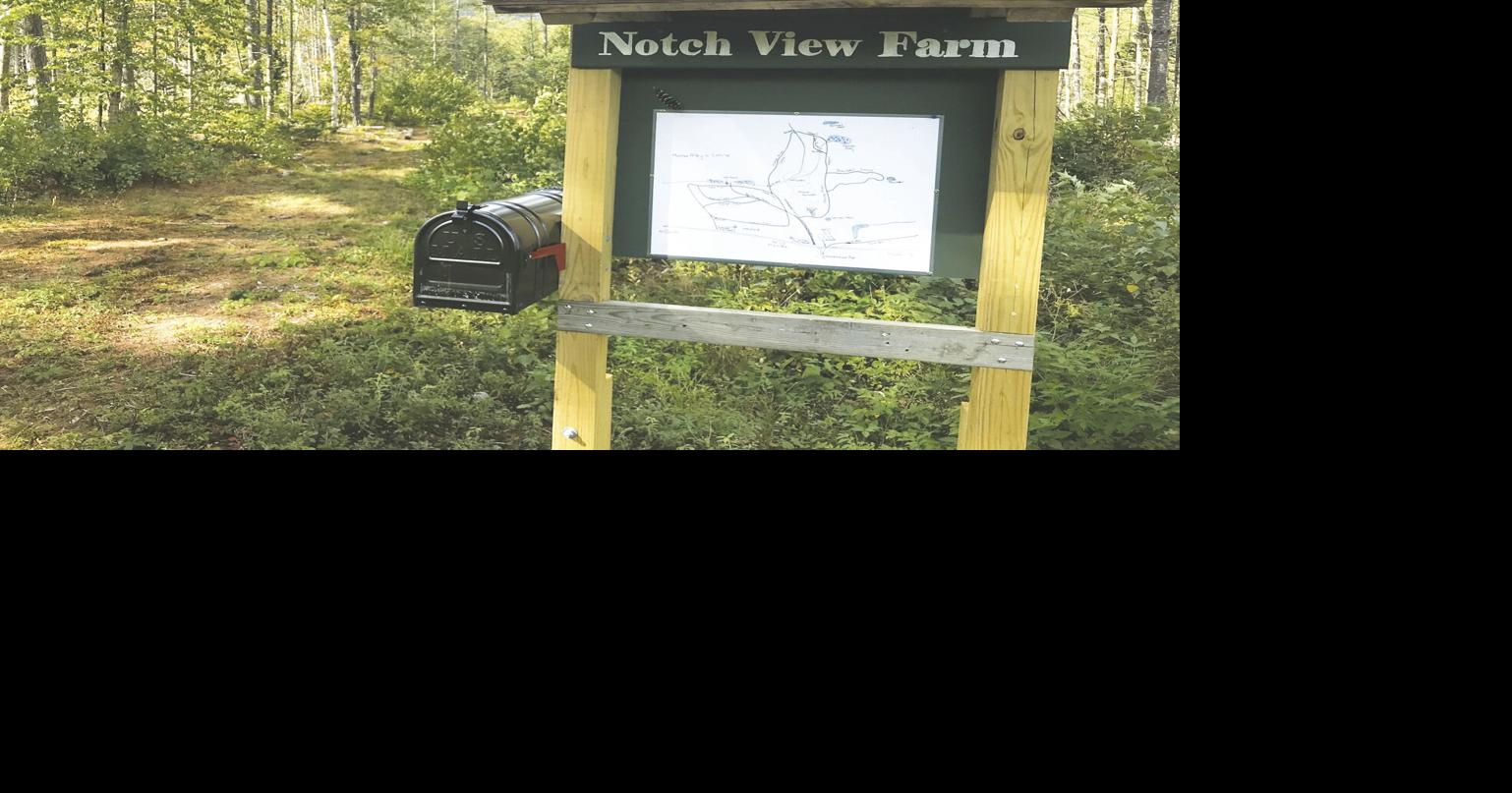 Exploring the trails of Notch View Farm | Hiking News | conwaydailysun.com