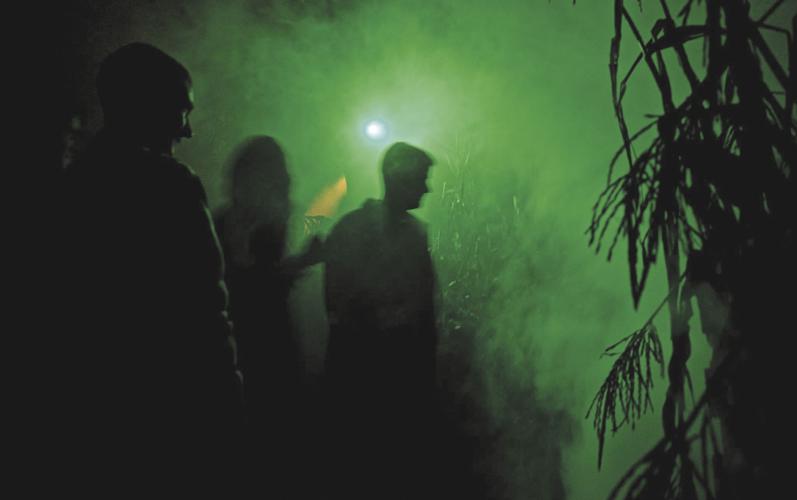 Happy haunting grounds: Lift the veil, if you dare! | Local News ...