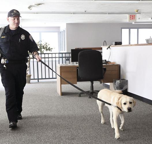 Rosman, Reeves partner up against arson | Local News | conwaydailysun.com