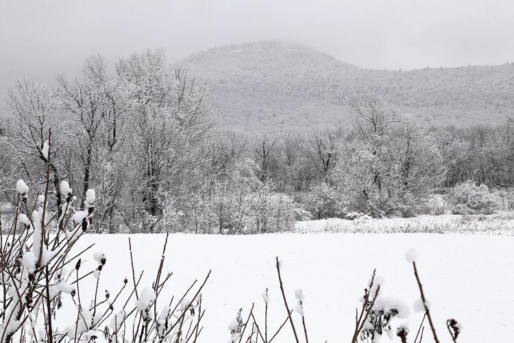 Snow around Conway Area Dec. 3 and 4 | Multimedia | conwaydailysun.com
