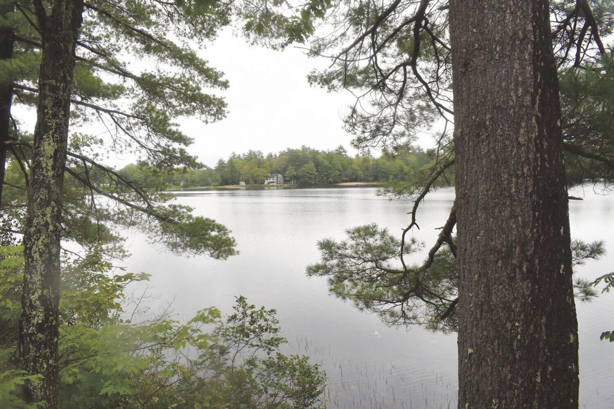 Locals fret over Pequawket Pond | Local News | conwaydailysun.com