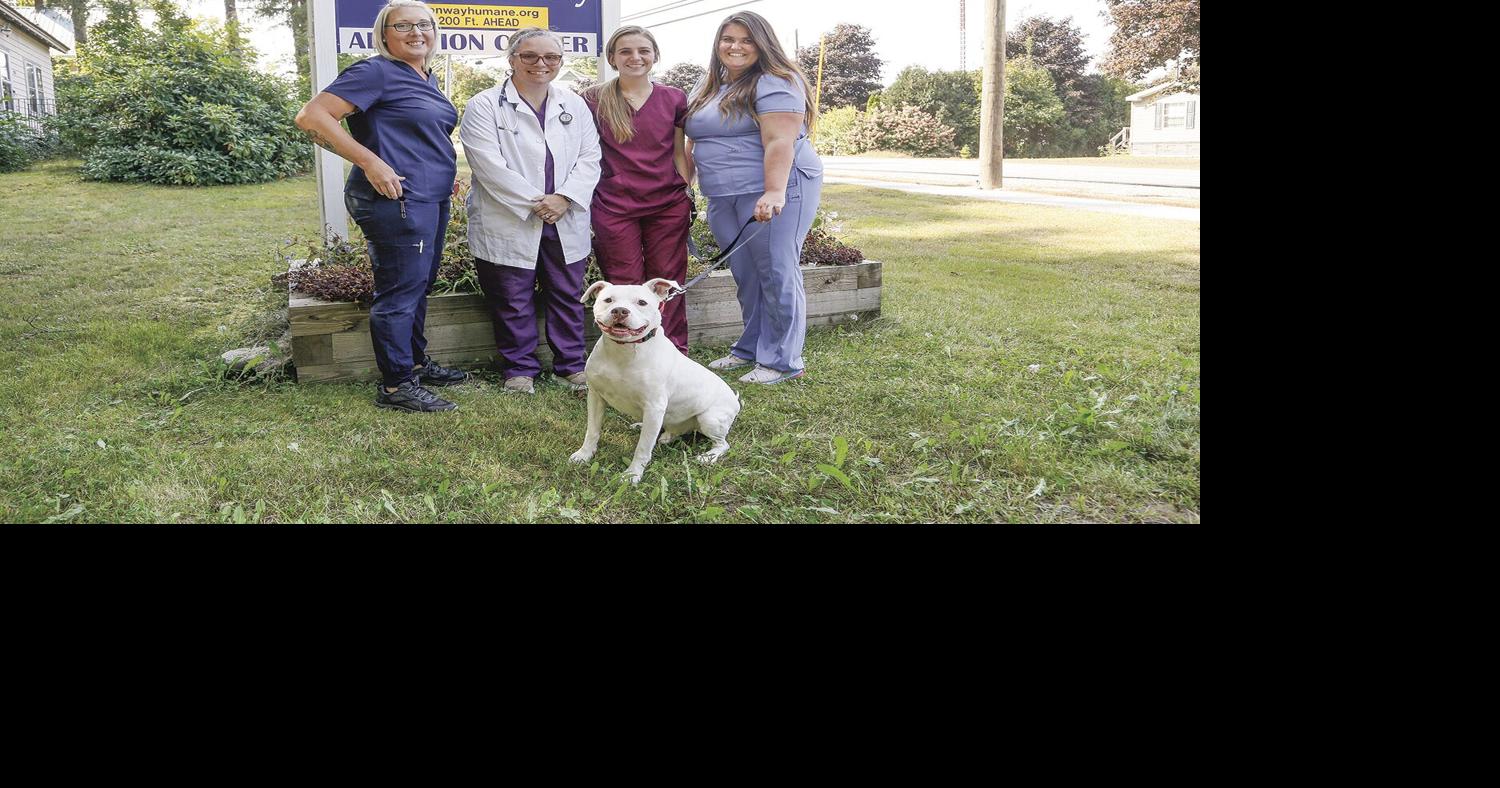 Conway Humane to open Valley Animal Hospital | Local News ...