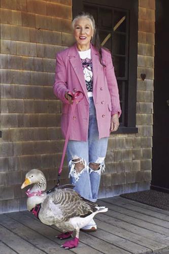 Gabby the goose melting hearts across the valley | Local News ...