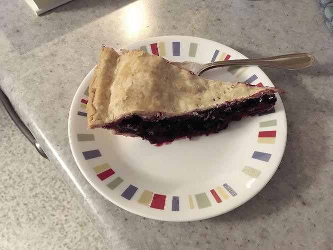 Wheel Fun: Blueberry picking, biking and baking for Sal | Family Biking ...
