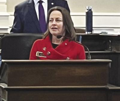 Peternel asks to withdraw her abortion bill | Local News ...