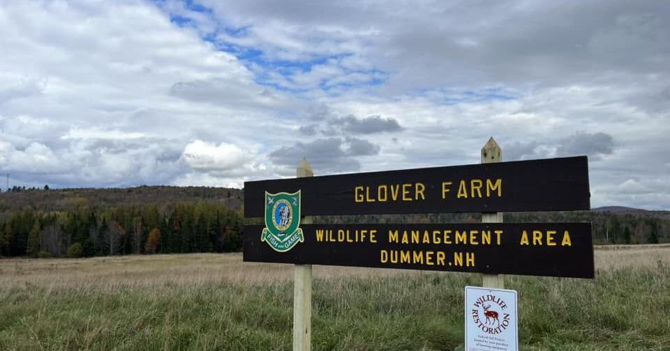 Glover Farm property in Dummer permanently protected | News ...