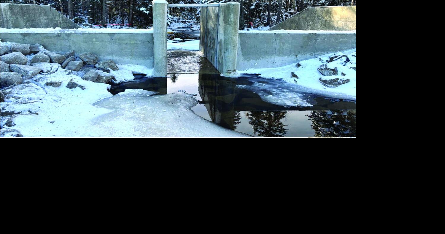 Nash Stream Forest management plan to be updated | Local News ...