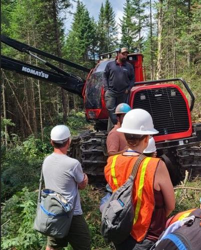 AG reviews Bluesource plan to cut logging to sell carbon credits In ...