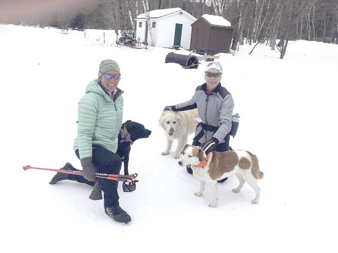 Nordic Tracks: Skiing with the dogs at Bear Notch Ski Touring Center ...