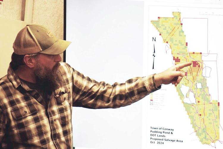 Town forester outlines salvage cut near Pudding Pond | Local News ...